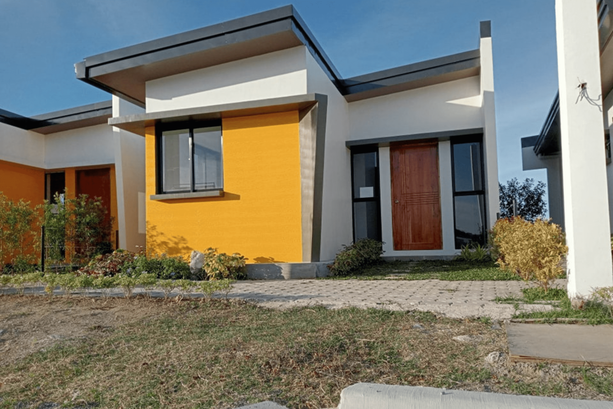 Paradisimo - Rey Millada